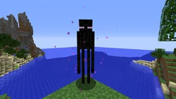 Mc Enderman In Game