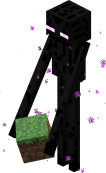 The End/Gallery | Minecraft Wiki | Fandom
