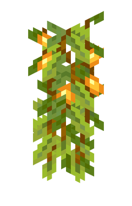 Cave Vines | Minecraft Wiki | Fandom