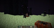 Enderman/Gallery | Minecraft Wiki | Fandom