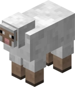 Owca | Minecraft Wiki | Fandom