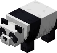 Panda/Gallery | Minecraft Wiki | Fandom