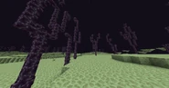 Chorus Plant | Minecraft Wiki | Fandom