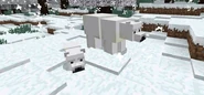 Polar Bear | Minecraft Wiki | Fandom