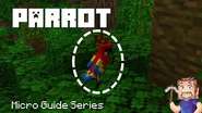 Parrot | Minecraft Wiki | Fandom