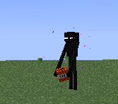 Enderman | Minecraft Wiki | Fandom