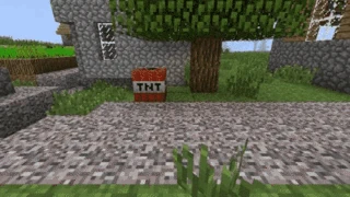 TNT | Minecraft Wiki | Fandom