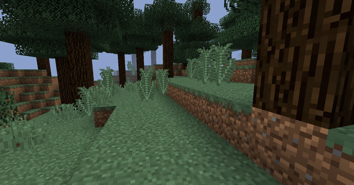 Biom | Minecraft Wiki | Fandom