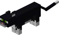Gat | Minecraft Wiki | Fandom