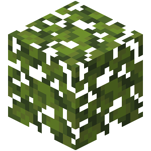Leaves | Minecraft Wiki | Fandom