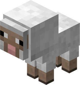 Овца | Minecraft Russian вики | Fandom
