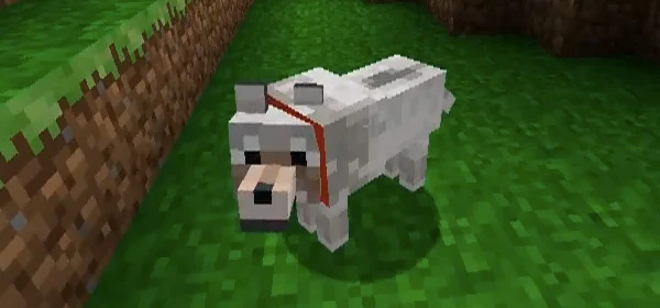 User blog:AngelWade/Potion of dog transformation | Minecraft Wiki | Fandom