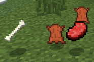 Bone | Minecraft Wiki | Fandom