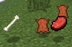 Bone Minecraft