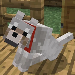 Minecraft Tamed Wolf Face