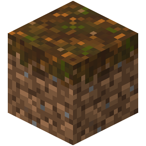 Podzol | Minecraft Wiki | Fandom