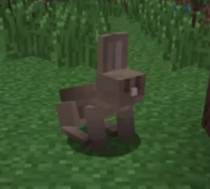 Rabbit/Gallery | Minecraft Wiki | Fandom