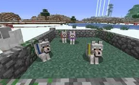 Loup | Wiki Minecraft | Fandom