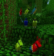 Parrot/Gallery | Minecraft Wiki | Fandom