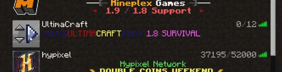 Minecraft Server/Gallery | Minecraft Wiki | Fandom