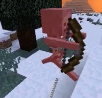 Skeleton/Gallery | Minecraft Wiki | Fandom