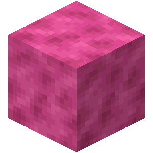 Coral Block | Minecraft Wiki | Fandom