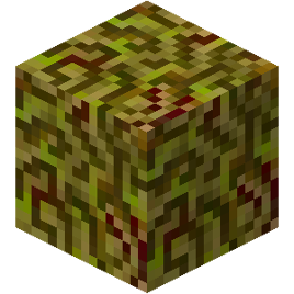 Coral Block | Minecraft Wiki | Fandom