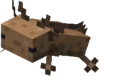 Axolotl | Minecraft Wiki | Fandom