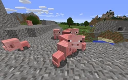 Minecraft Baby Pig Wallpaper