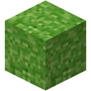 Grass/Gallery | Minecraft Wiki | Fandom