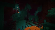 Warped Forest | Minecraft Wiki | Fandom