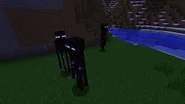 Enderman | Minecraft Wiki | Fandom