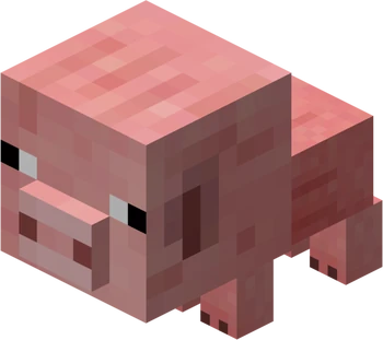 Pig | Minecraft Wiki | Fandom