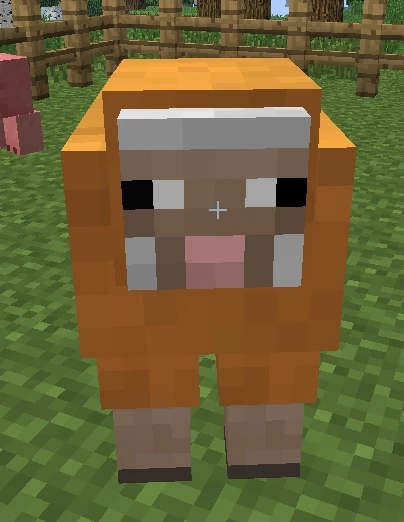 Orange Dye | Minecraft Wiki | Fandom