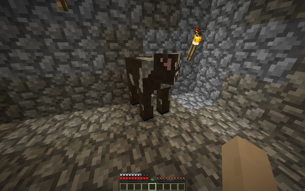 Cow/Gallery | Minecraft Wiki | Fandom