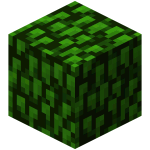 List of Plants/Gallery | Minecraft Wiki | Fandom