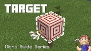 Target | Minecraft Wiki | Fandom
