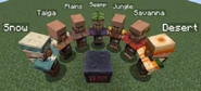 Villager/Gallery | Minecraft Wiki | Fandom