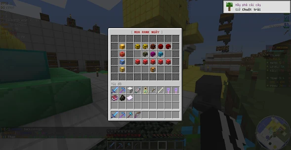 Thông Tin Về Các Loại Rank (/Rank) | Wiki Minecraftvn | Fandom