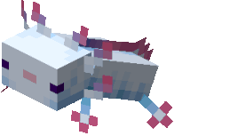 Axolotl | Minecraft Wiki | Fandom