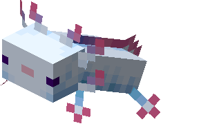 Axolotl | Minecraft Wiki | Fandom