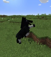 Horse/Gallery | Minecraft Wiki | Fandom