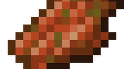 Discuss Everything About Minecraft Wiki | Fandom