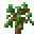 Saplings | Minecraft Wiki | Fandom