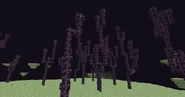 Chorus Plant | Minecraft Wiki | Fandom