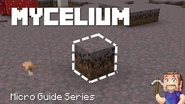Mycelium | Minecraft Wiki | Fandom