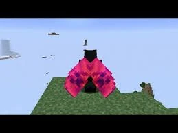 Elytra | Wiki Minecraft | Fandom