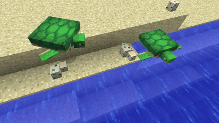 Sea Turtle/Gallery | Minecraft Wiki | Fandom
