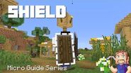 Shield | Minecraft Wiki | Fandom