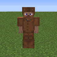 Leather | Minecraft Wiki | Fandom